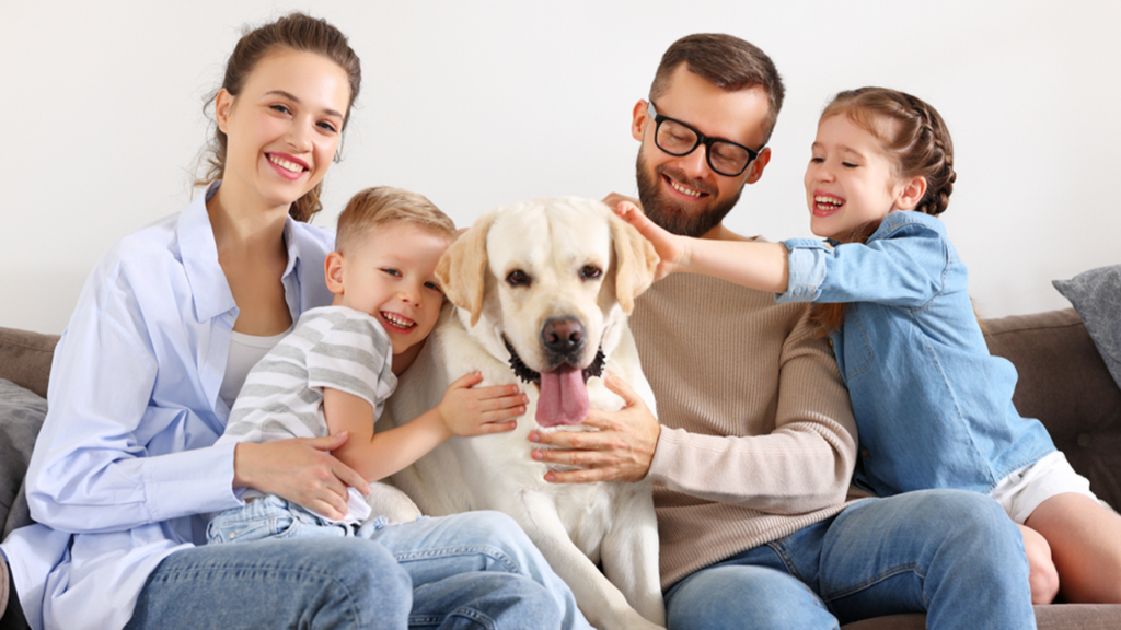 The 5 Best Puppy for First-Time Dog Owners – The good shepherd kennel